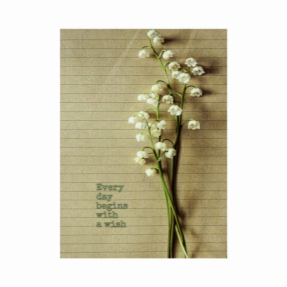 Magazin - Paper York